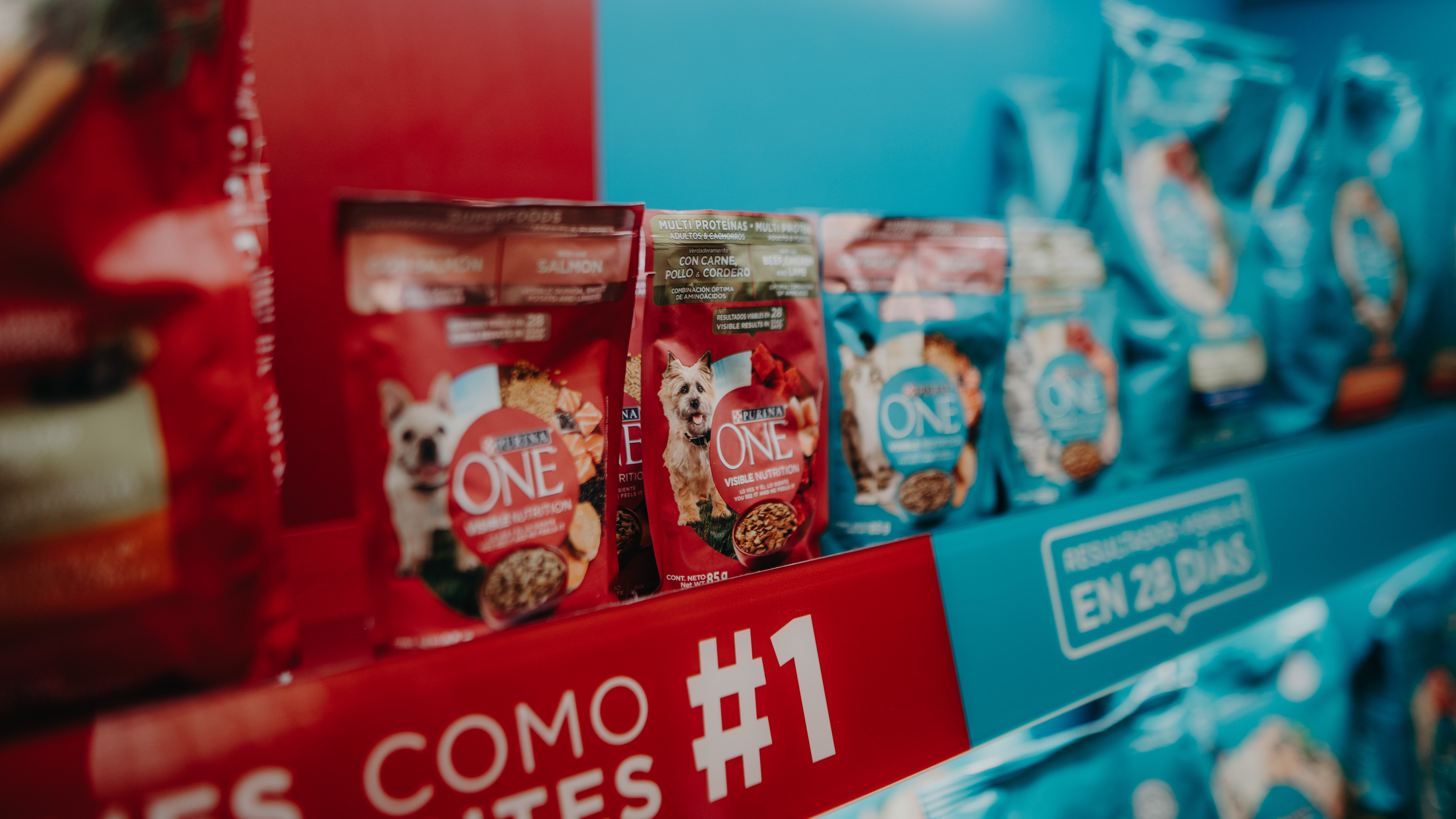 Purina One llega a Guatemala: Alimento premium | Nestlé CAM